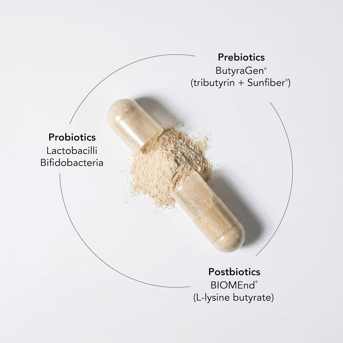 digestive health with Theralogix