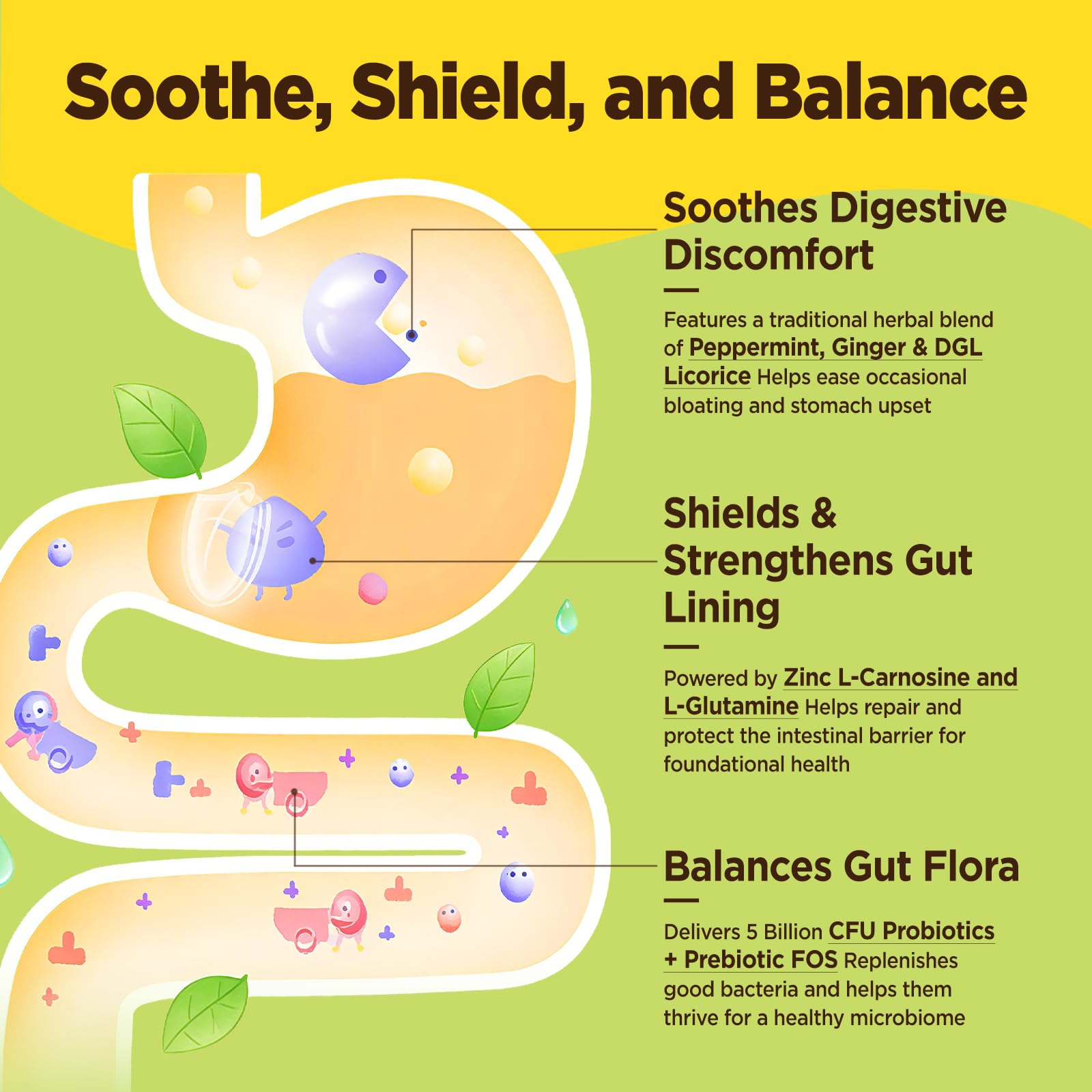 Digestive health Zinc Carnosine