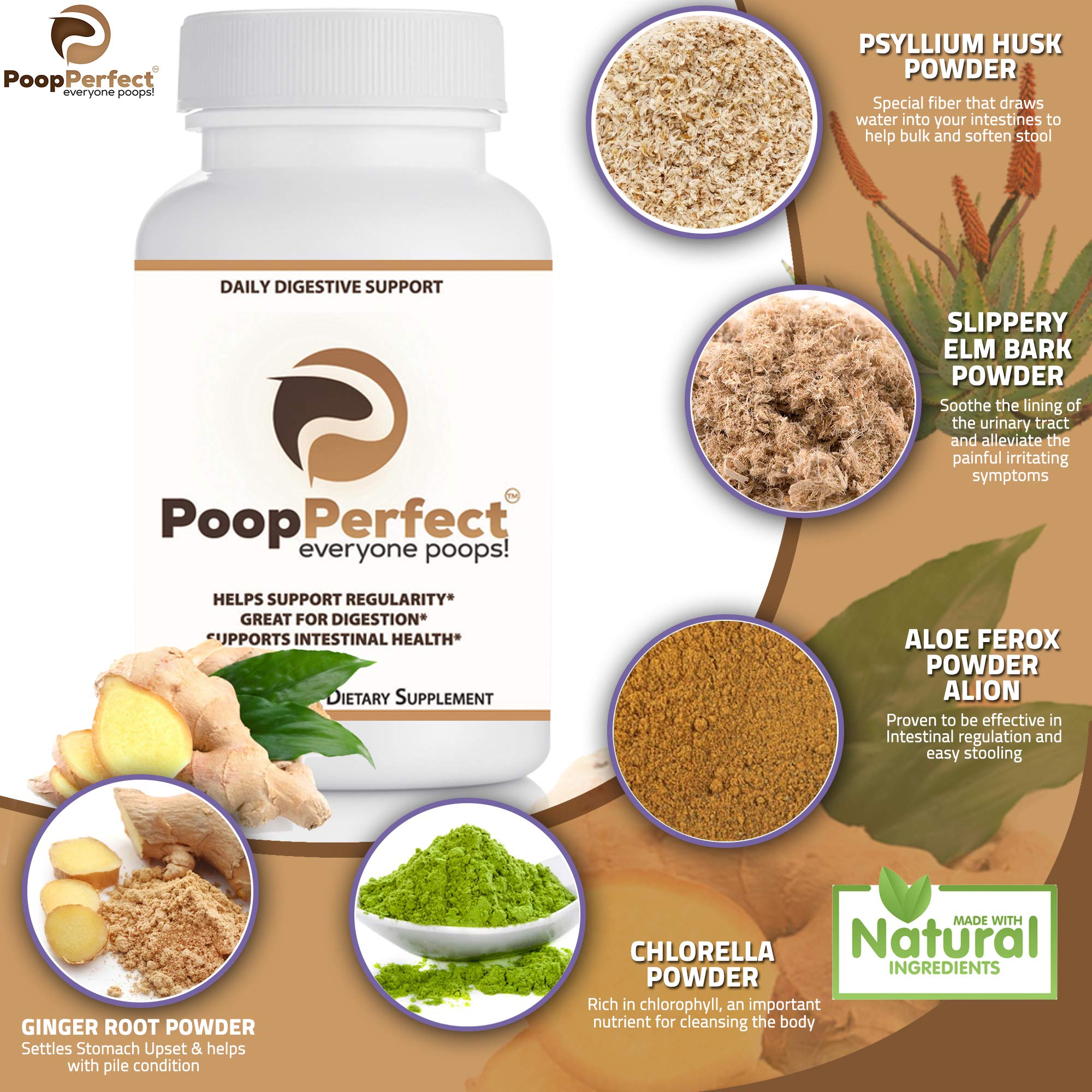 digestive support capsules for everyday use
