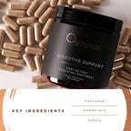 digestive support enzyme supplement benefits