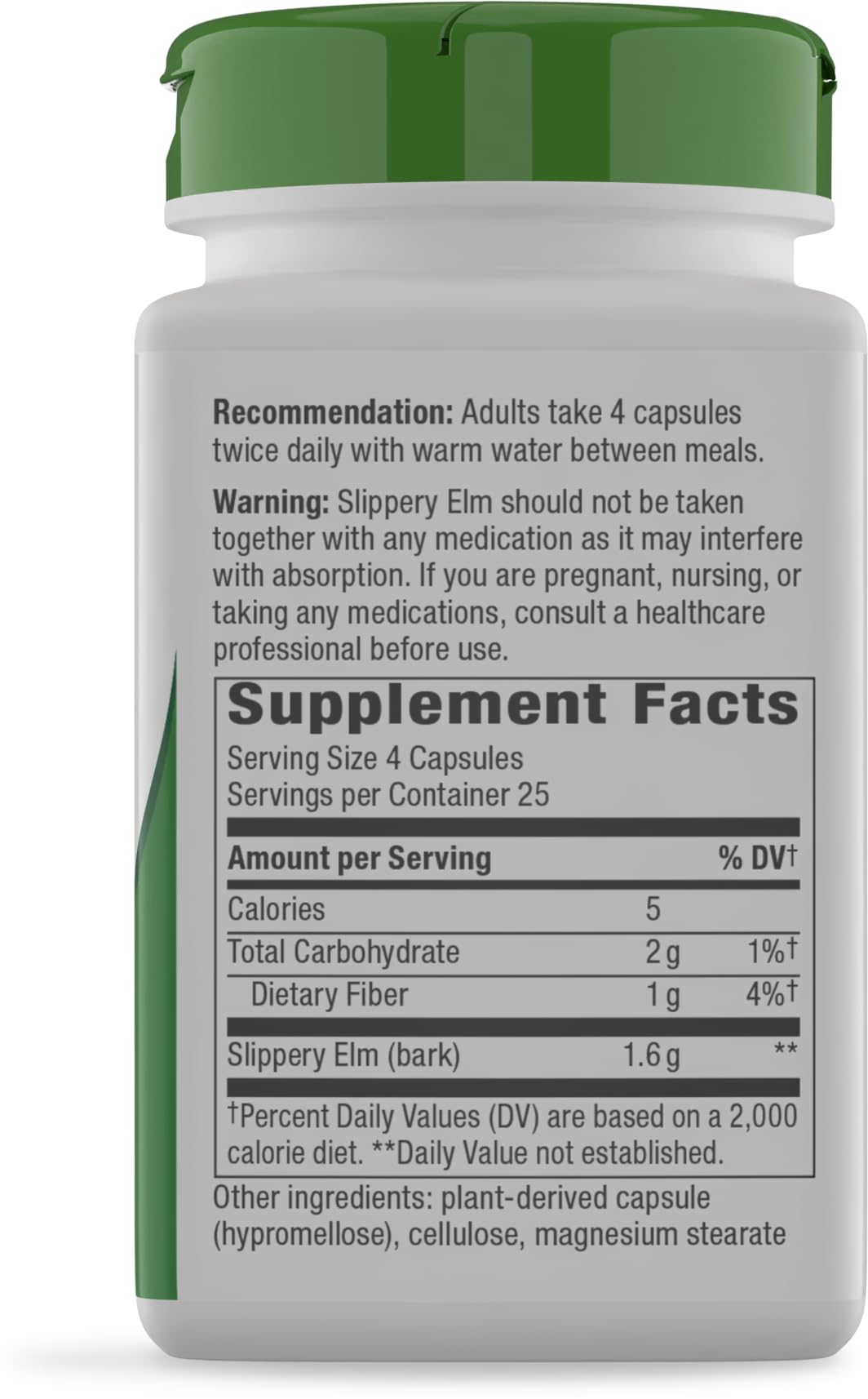 Digestive support for everyday use