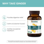 digestive support ginger caplets