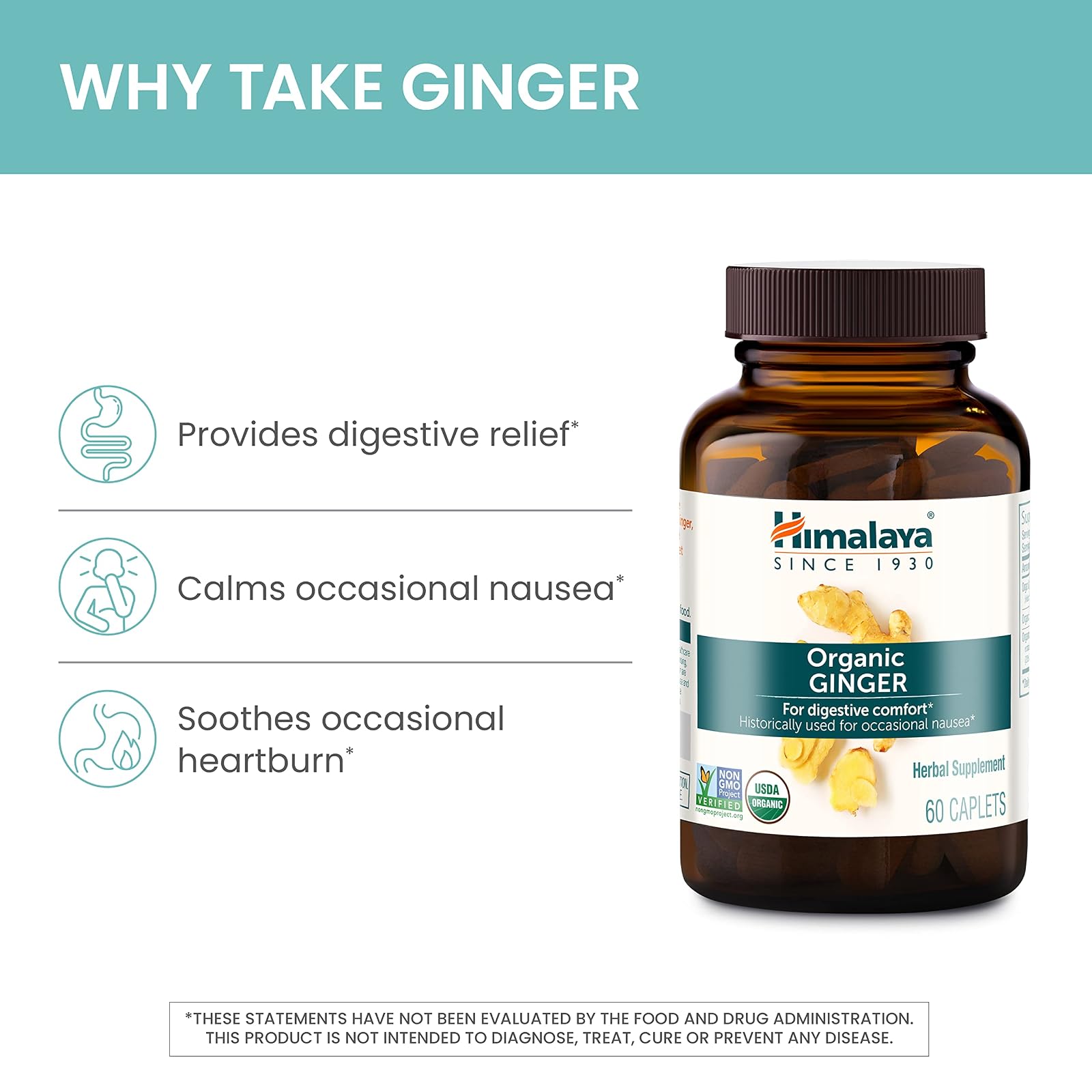 digestive support ginger caplets