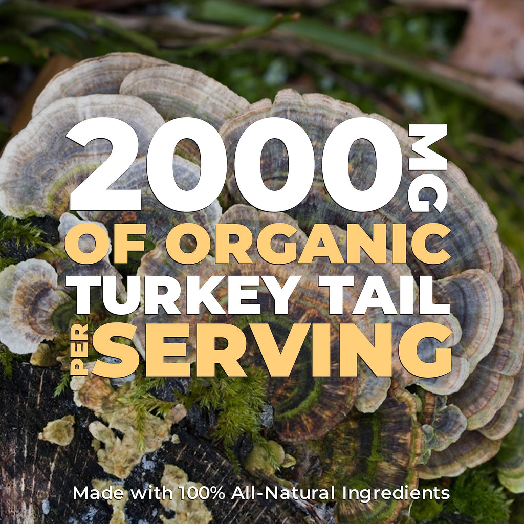 digestive support mushroom supplement