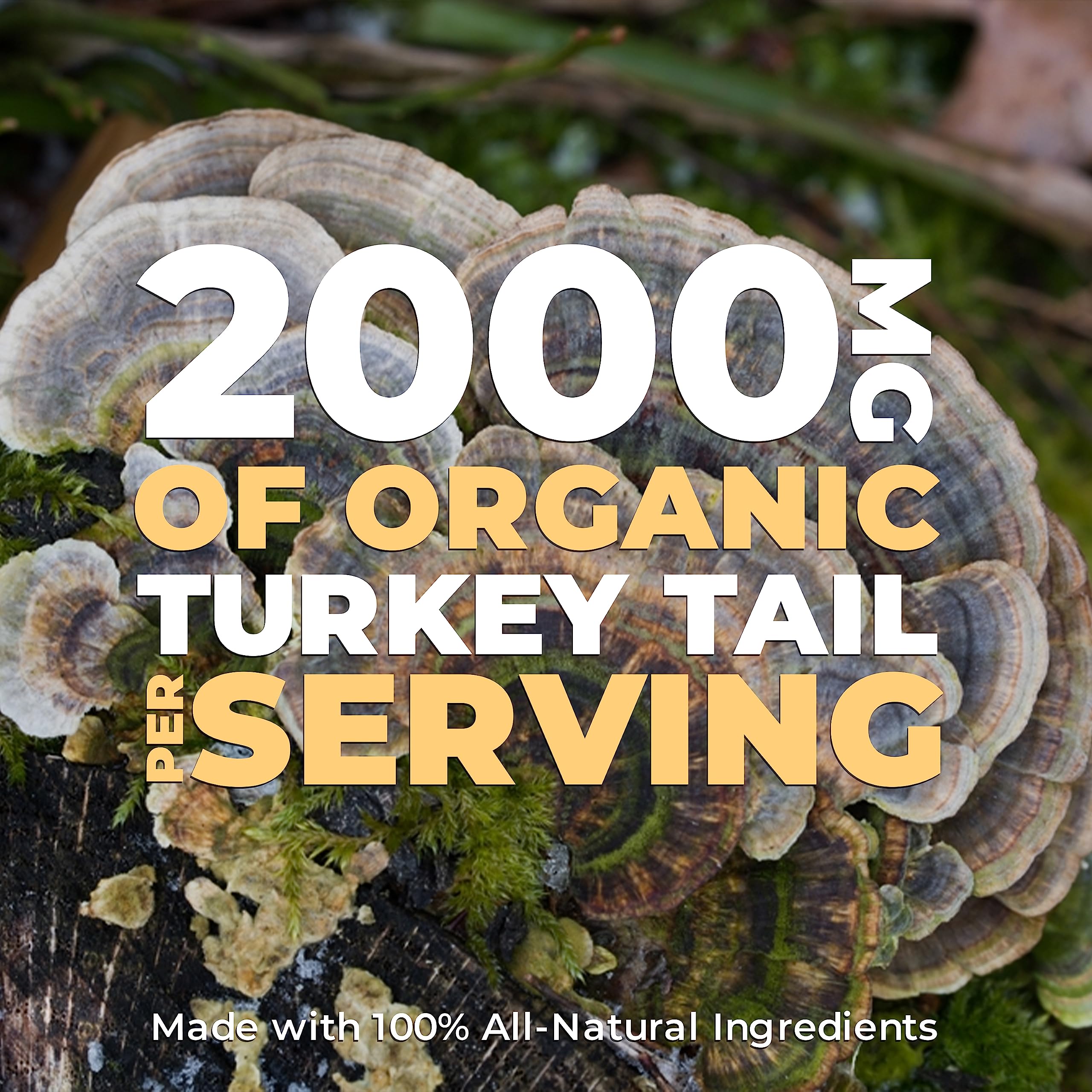 digestive support mushroom supplement