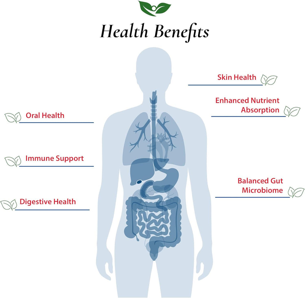 digestive support probiotic powder