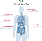 Digestive support probiotic supplement