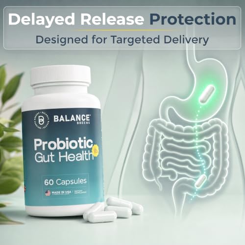 Digestive support probiotic supplement