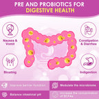 digestive support probiotics for women