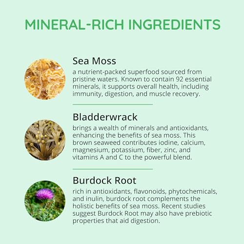 digestive support sea moss capsules