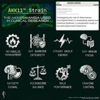 Digestive support with Akkermansia