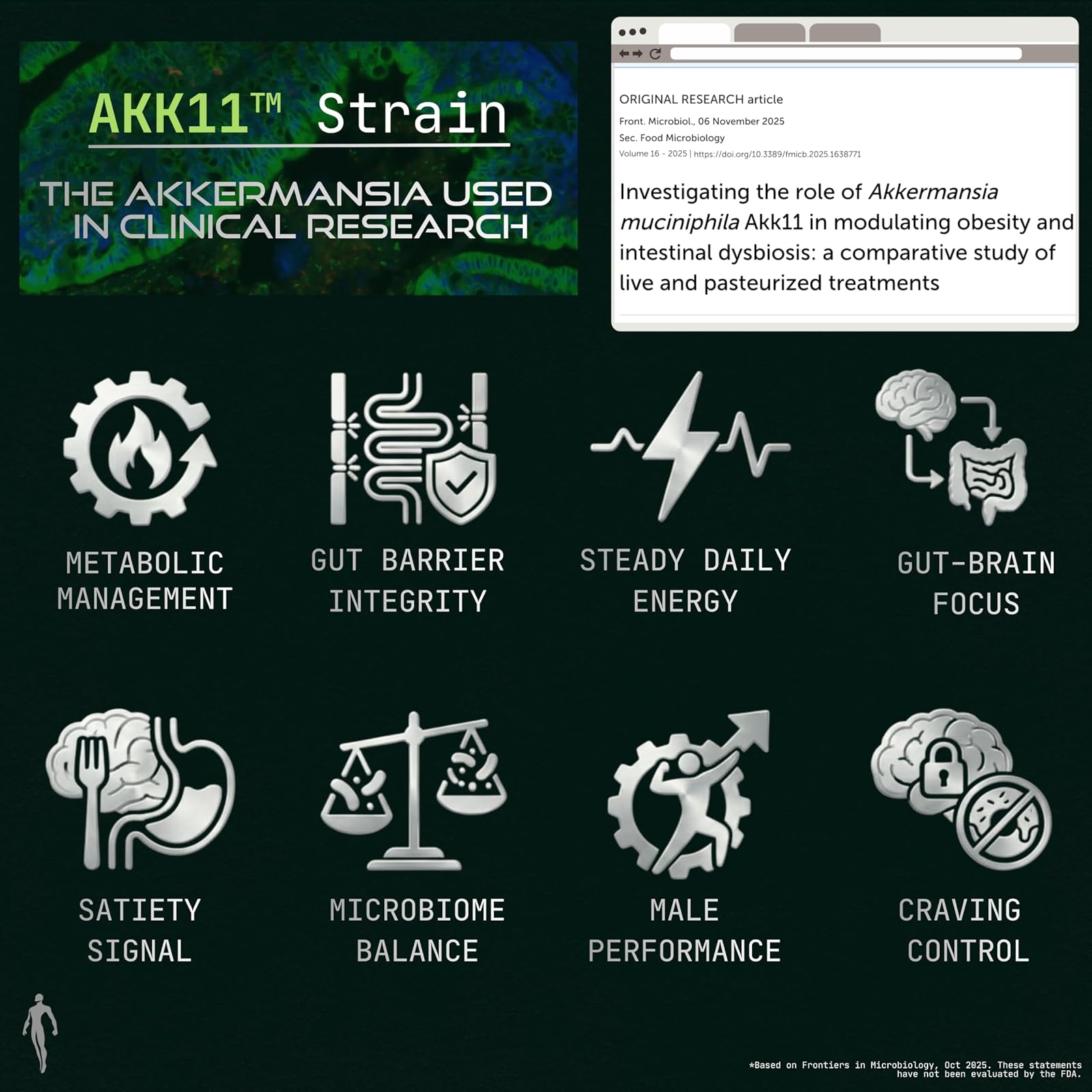 Digestive support with Akkermansia
