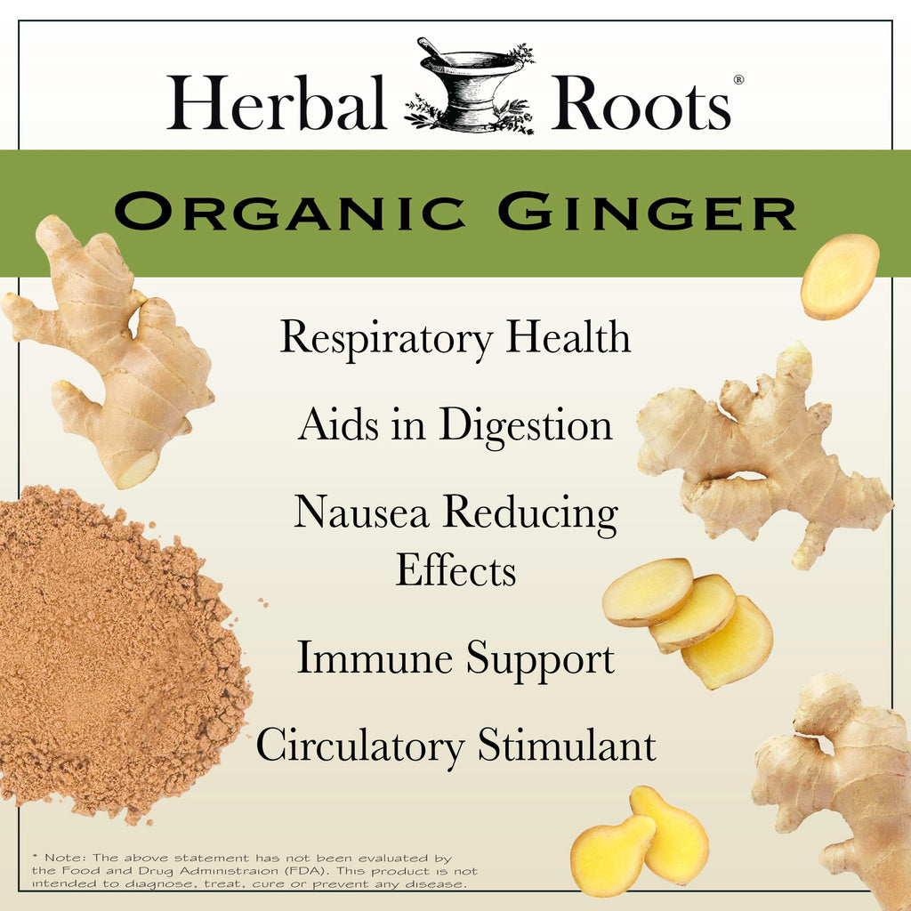 digestive support with ginger supplements