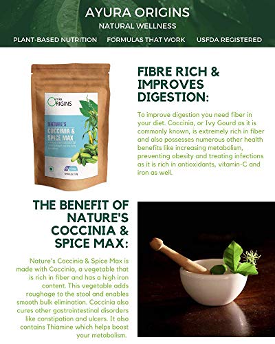 digestive support with herbal ingredients