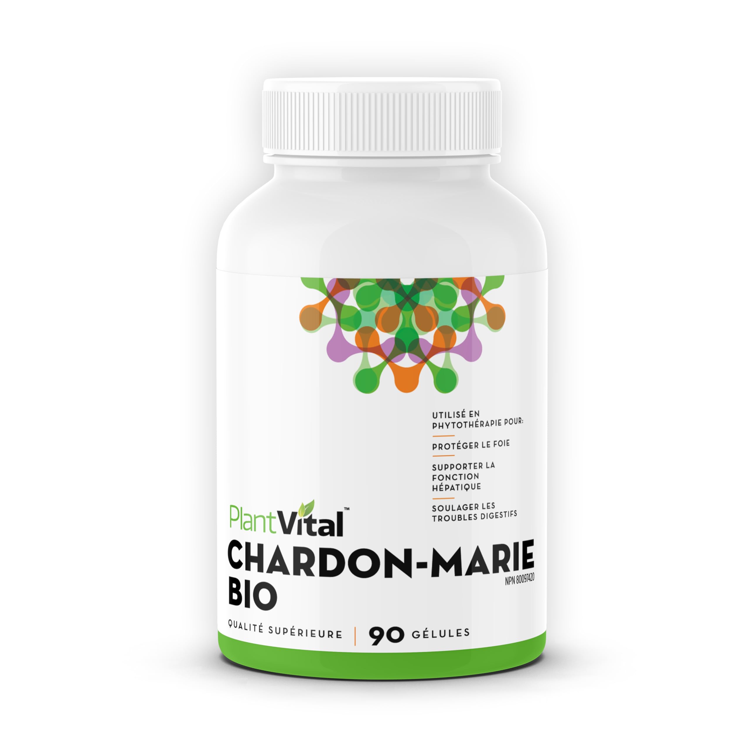 digestive support with milk thistle