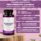 digestive support with prebiotics