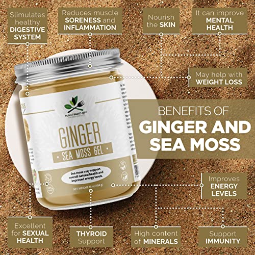 digestive support with sea moss