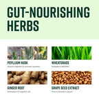 Digestive Vibrance for kids health