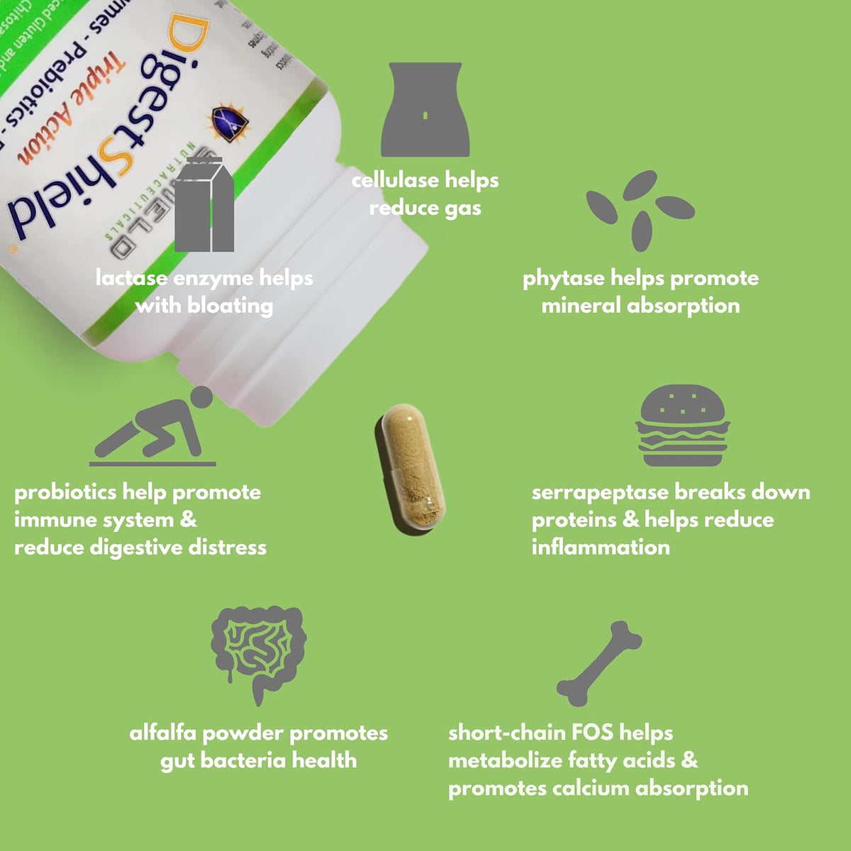 DigestShield Probiotic for immune boost