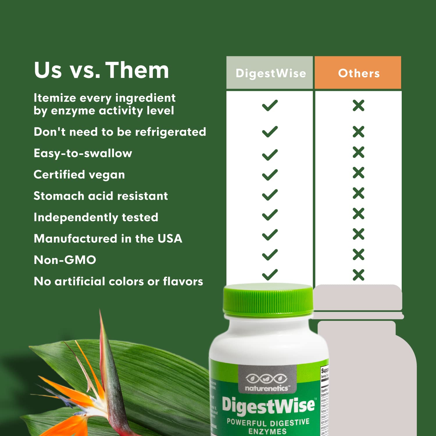 DigestWise enzymes for bloating relief