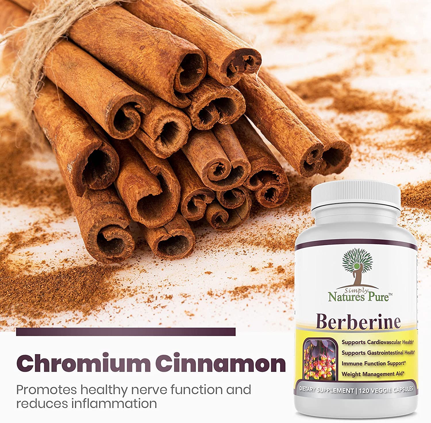 dihydroberberine benefits for digestion
