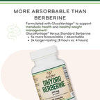 Dihydroberberine capsules for energy support