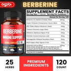 dihydroberberine capsules for weight loss