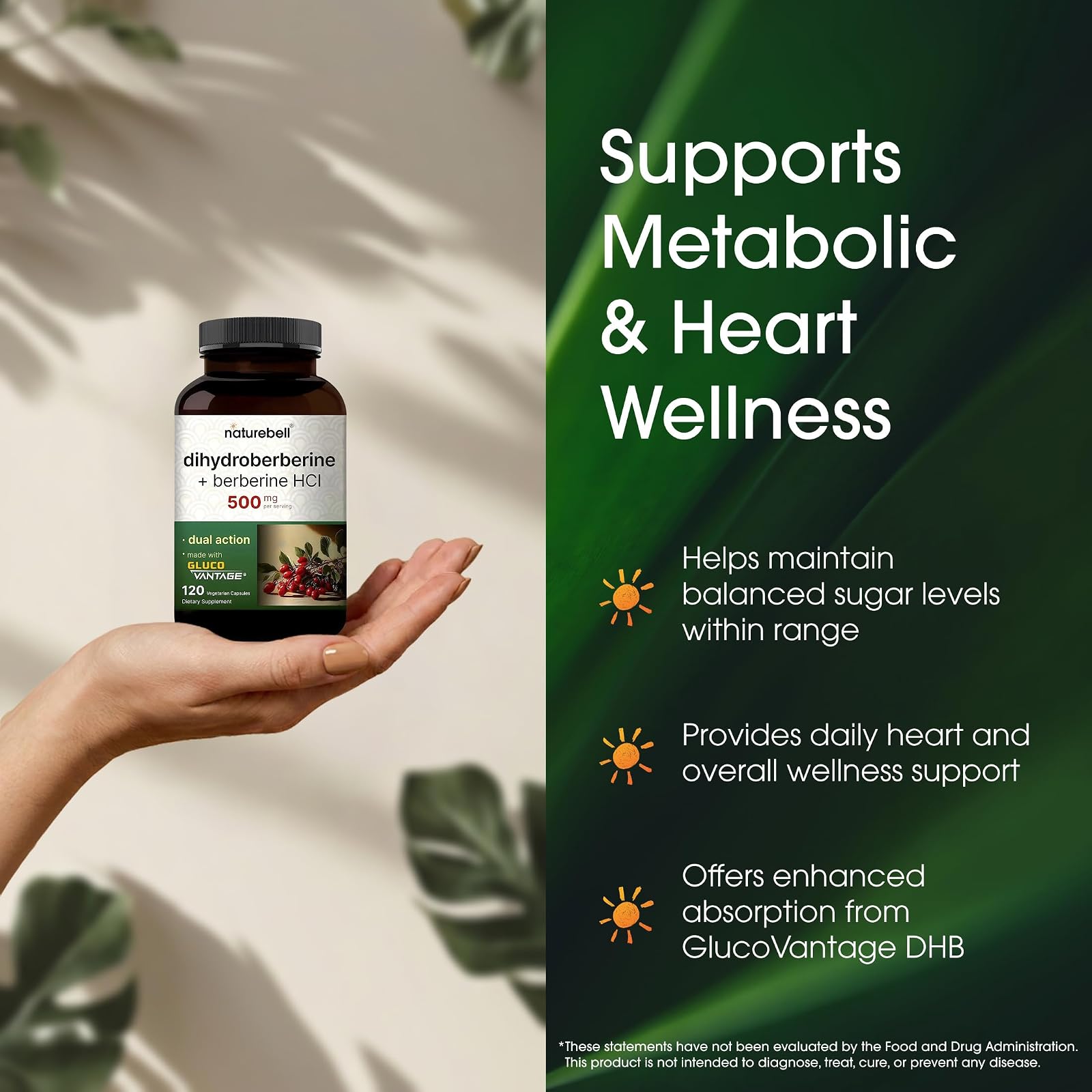 dihydroberberine capsules for weight management