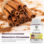 dihydroberberine for blood sugar balance