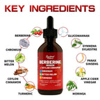 dihydroberberine for blood sugar balance