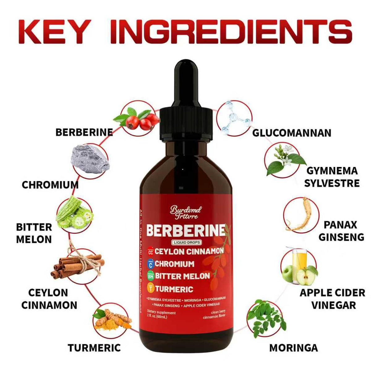 dihydroberberine for blood sugar balance