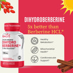 Dihydroberberine for blood sugar support