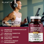 dihydroberberine for blood sugar support