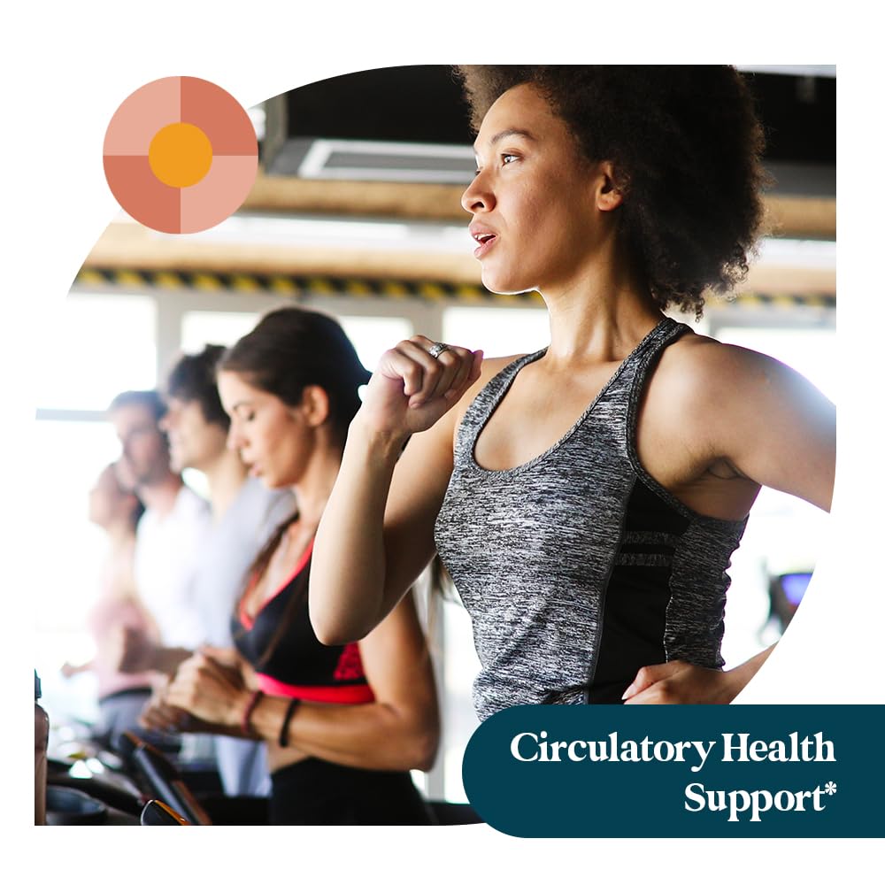 dihydroberberine for blood sugar support
