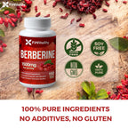 dihydroberberine for blood sugar support