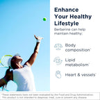 dihydroberberine for blood sugar support