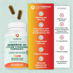 Dihydroberberine for digestive support