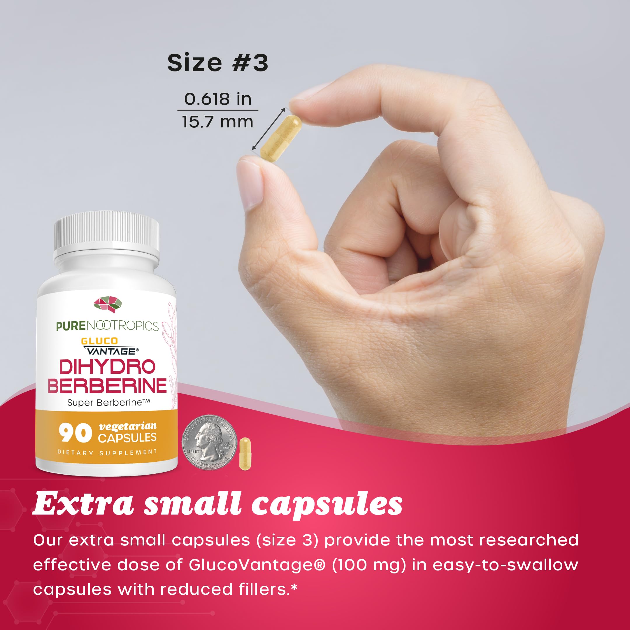 Dihydroberberine for enhanced nutrient absorption