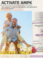 Dihydroberberine for healthy metabolism