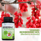 dihydroberberine for improved metabolism