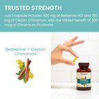 Dihydroberberine for metabolic balance