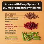 dihydroberberine for metabolic health