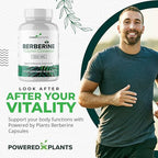 dihydroberberine for metabolic support