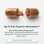 dihydroberberine for metabolic support