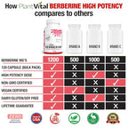 dihydroberberine for metabolic support