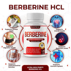 dihydroberberine for metabolic support