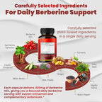 dihydroberberine for metabolic support
