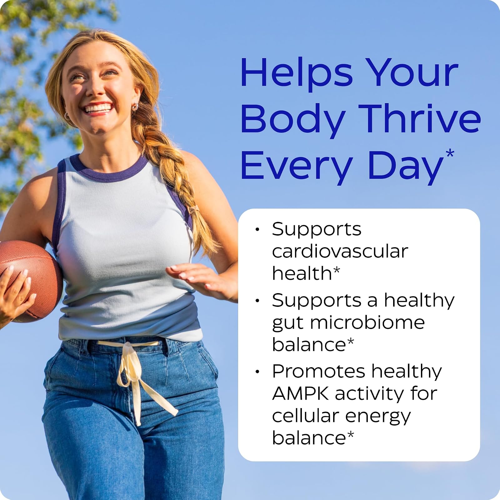 dihydroberberine for optimal wellness