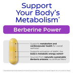 dihydroberberine supplement for health