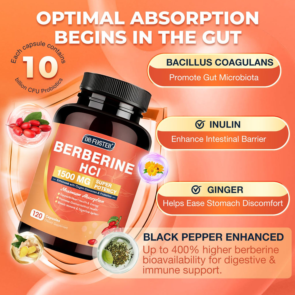 dihydroberberine supplement for vitality